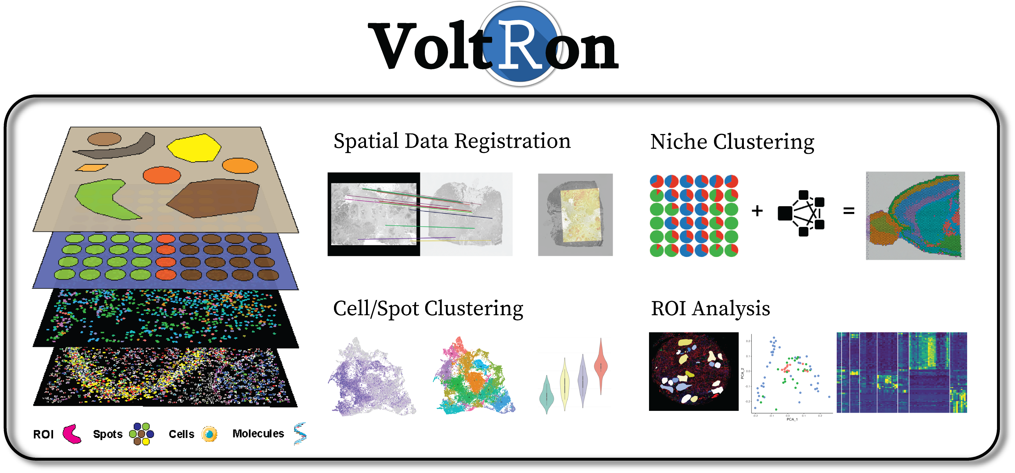 GitHub - BIMSBbioinfo/VoltRon: VoltRon: spatial omic analysis toolbox for multiomic integration ...